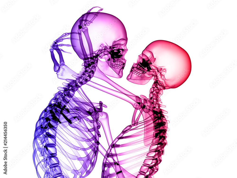 X Ray Skeleton Kiss
