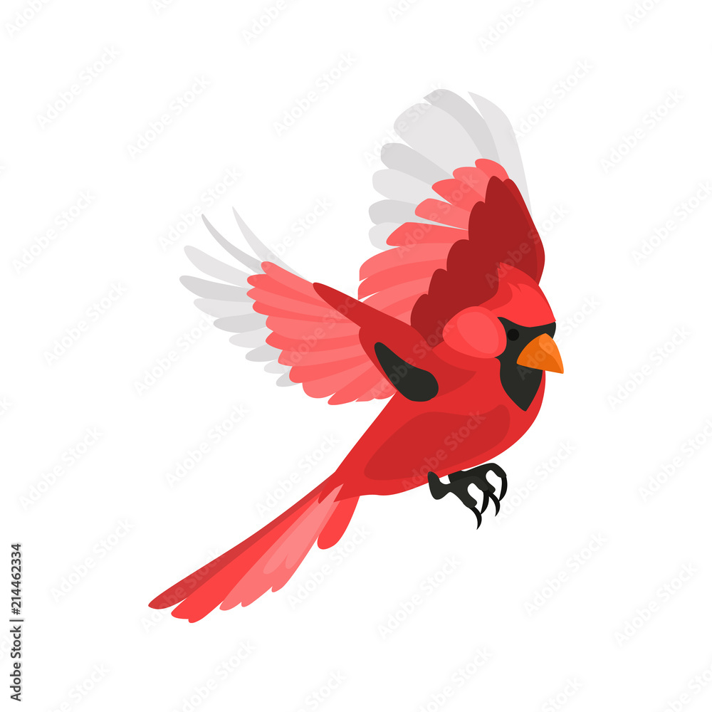 Flying red cardinal high quality color icon Stock Vector | Adobe Stock
