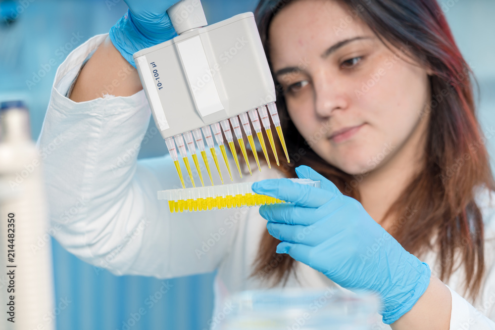 Woman technician with multipipette in genetic laboratory PCR research ...