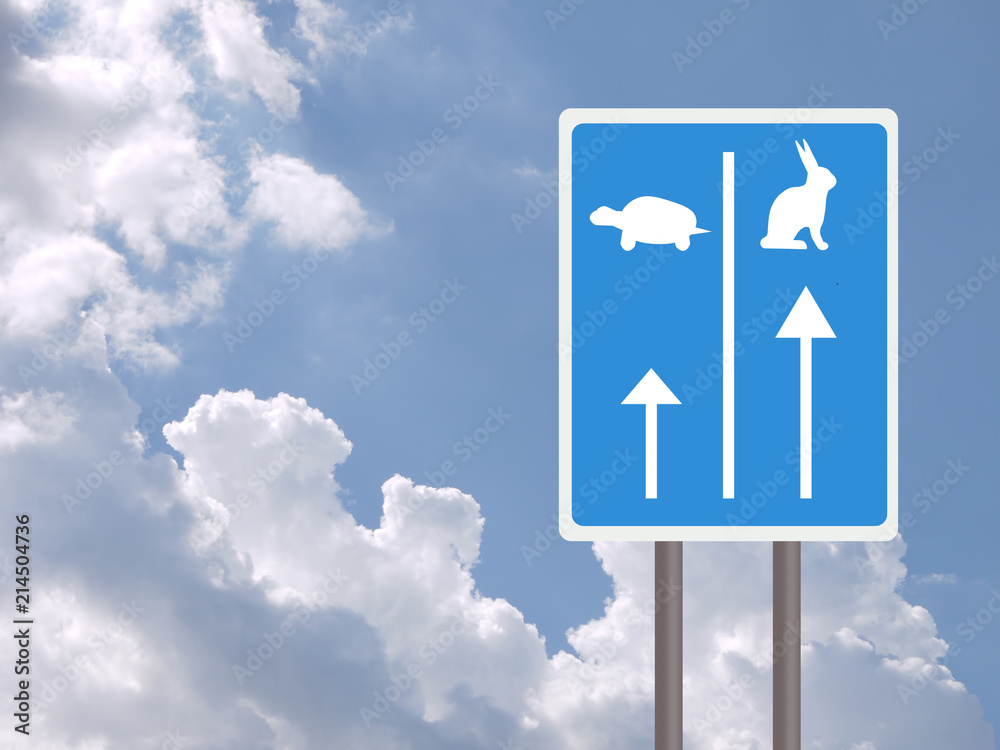 Fast and slow lanes for tortroise aka turtle and hare, business success ...