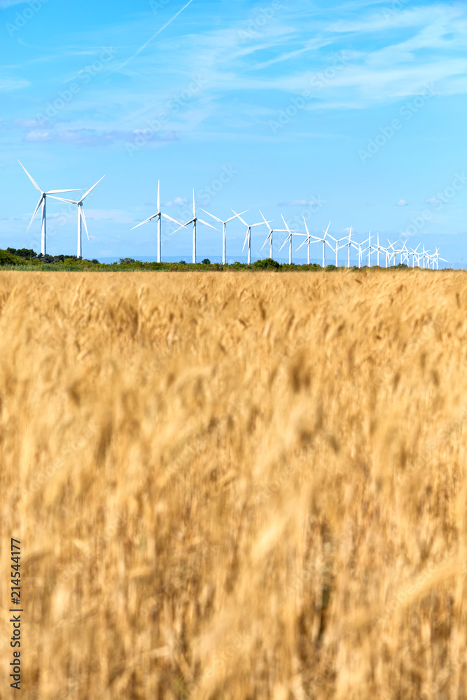 Wind turbine among golden ears of grain crops. Harvesting of whe Stock ...