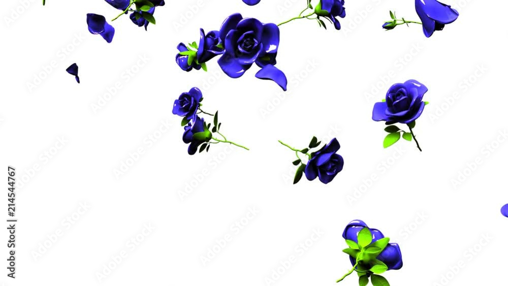 Falling Blue Roses On White Background.3DCG render Animation. Stock ビデオ ...