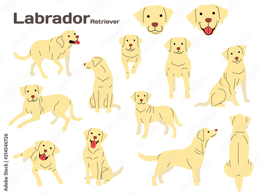 labrador,dog in action,happy dog Stock Vector | Adobe Stock