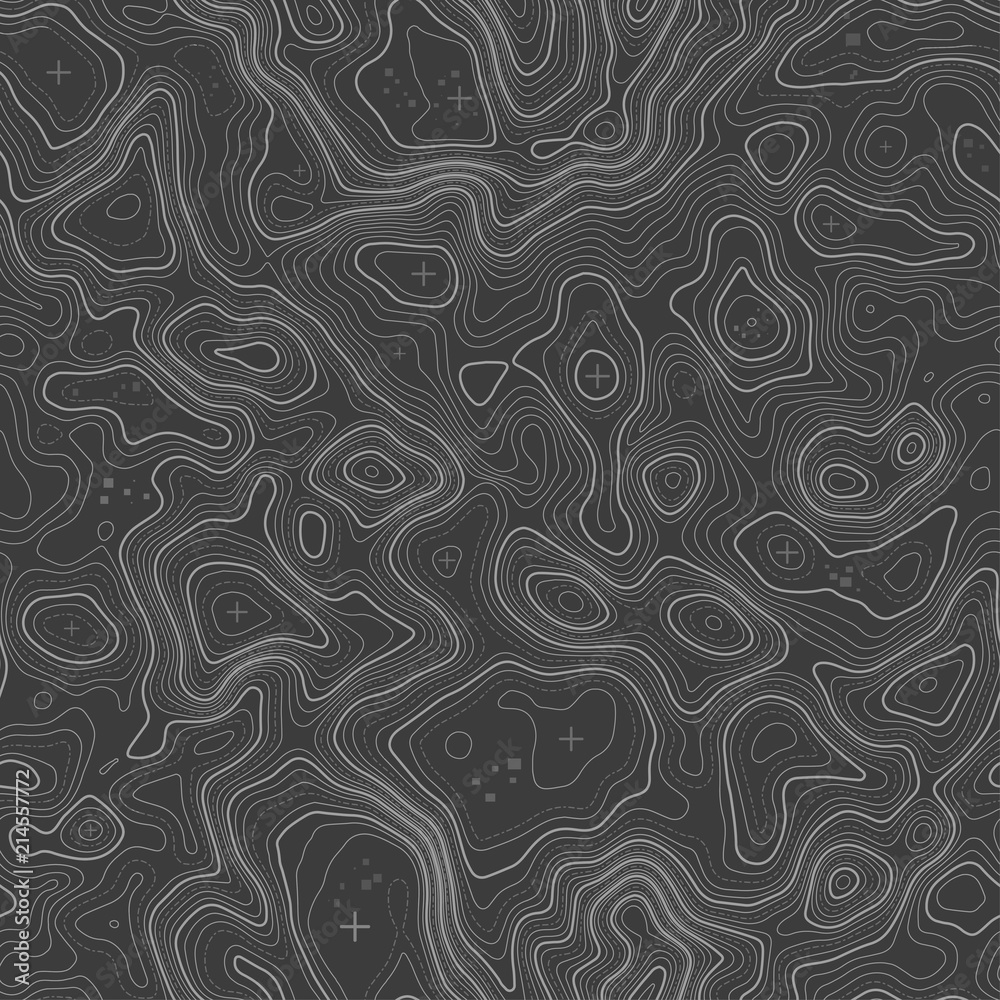 Seamless topographic map contour background. Topo map with elevation ...