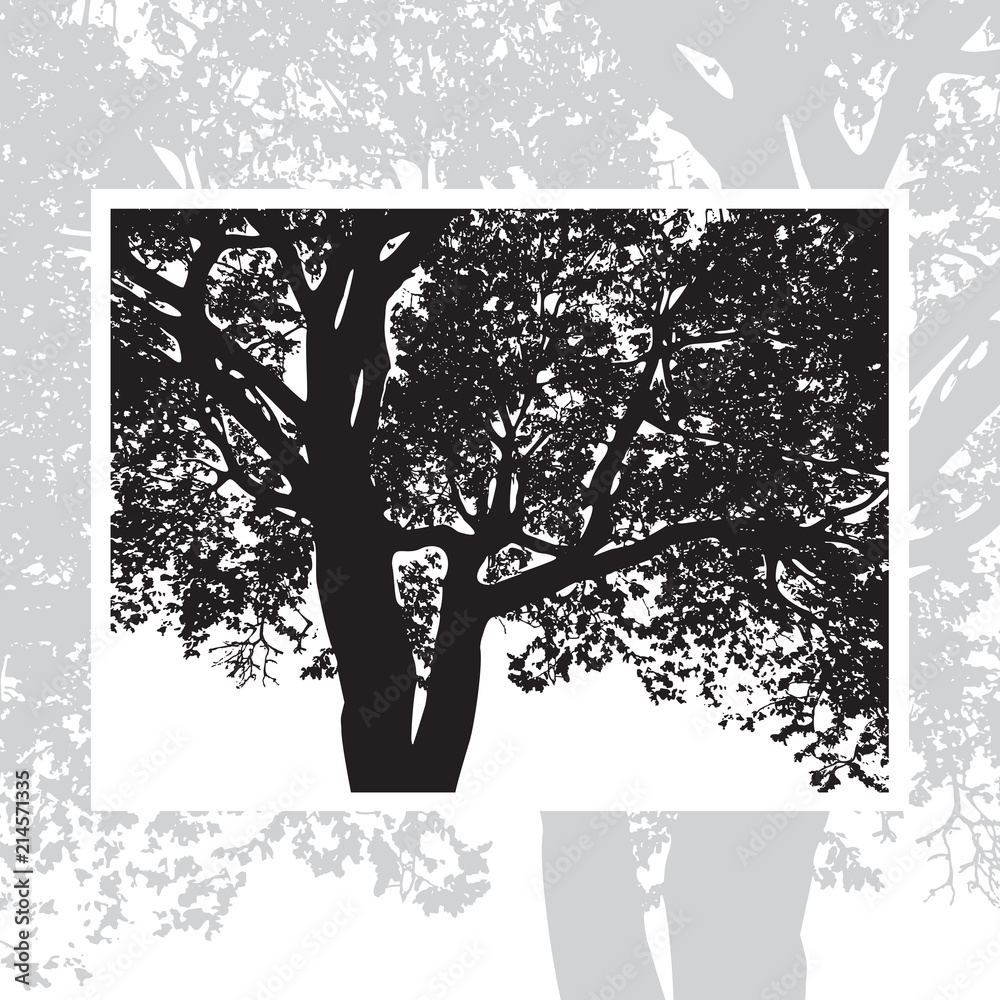 Silhouette of natural leafy tree isolated on white background ...