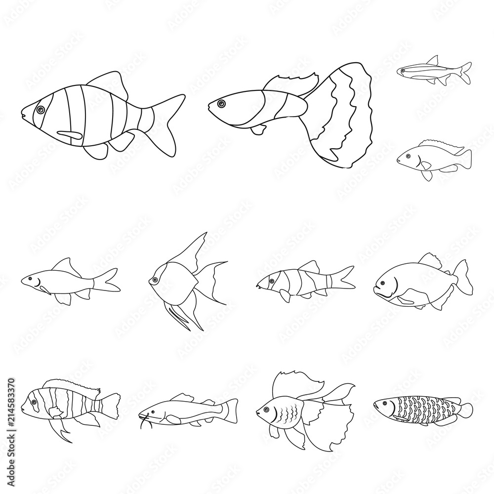 Different types of fish outline icons in set collection for design ...