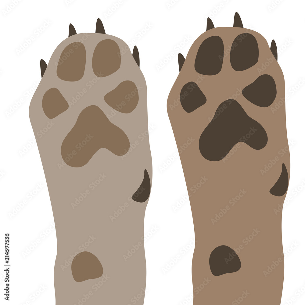 dog paw look from below vector illustration flat Stock Vector | Adobe Stock