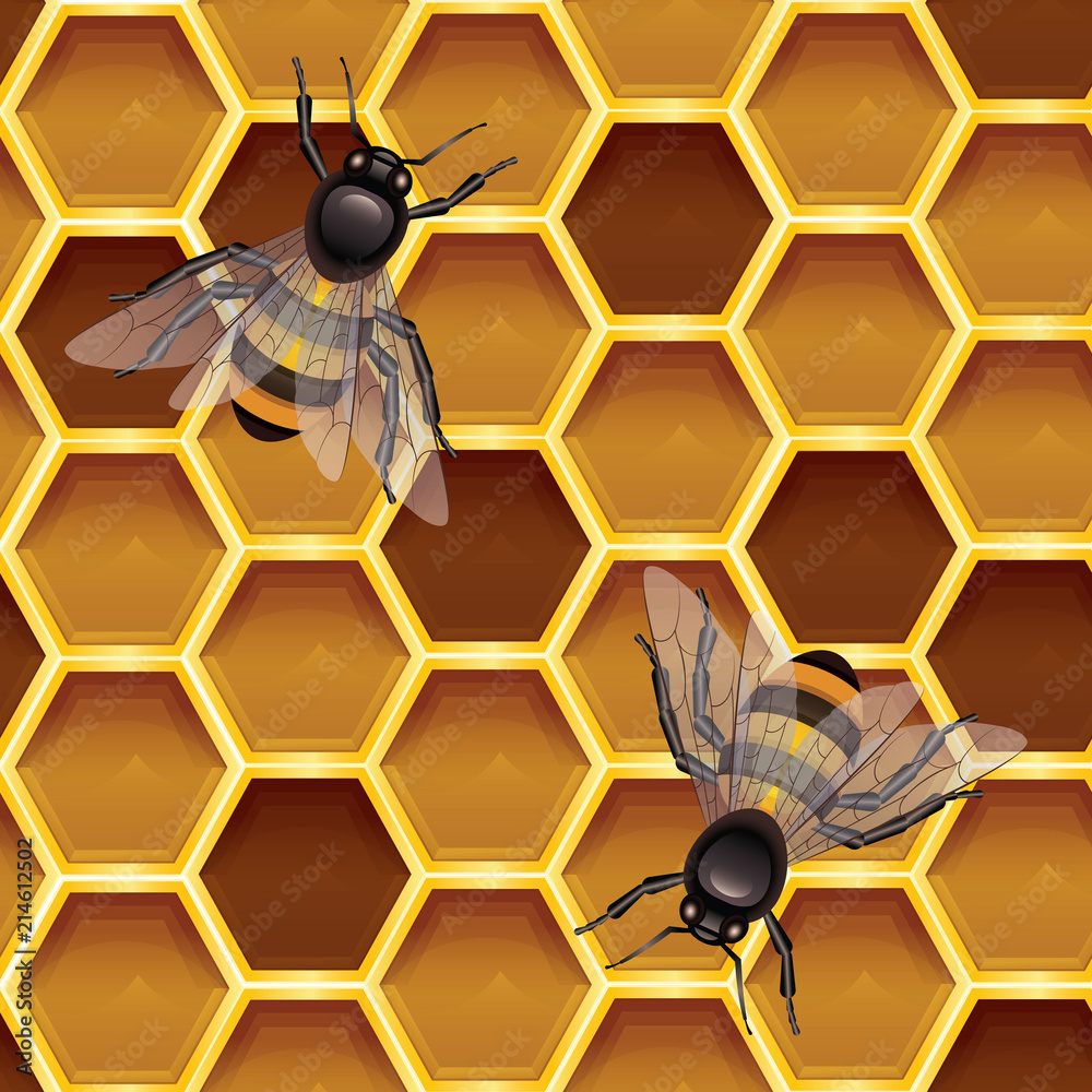 Vector color seamless pattern of a honeycomb with bees. Tile of a ...