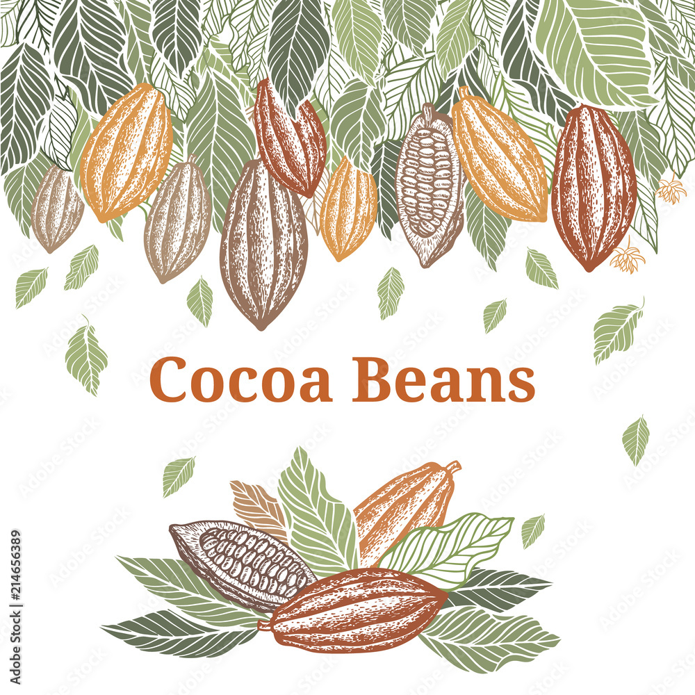 Cacao beans plant, Vector exotic cacao plants Stock Vector | Adobe Stock