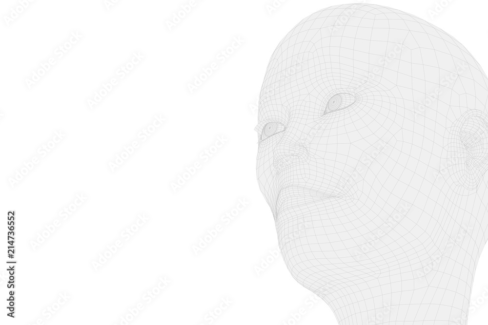Human head in wireframe with front view on white background. 3D ...