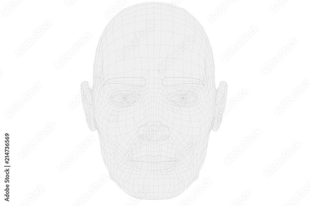 Human head in wireframe with front view on white background. 3D ...