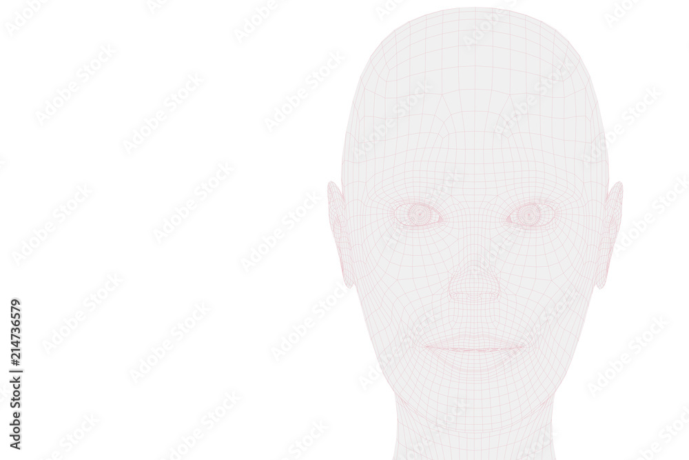 Human head in wireframe with front view on white background. 3D ...