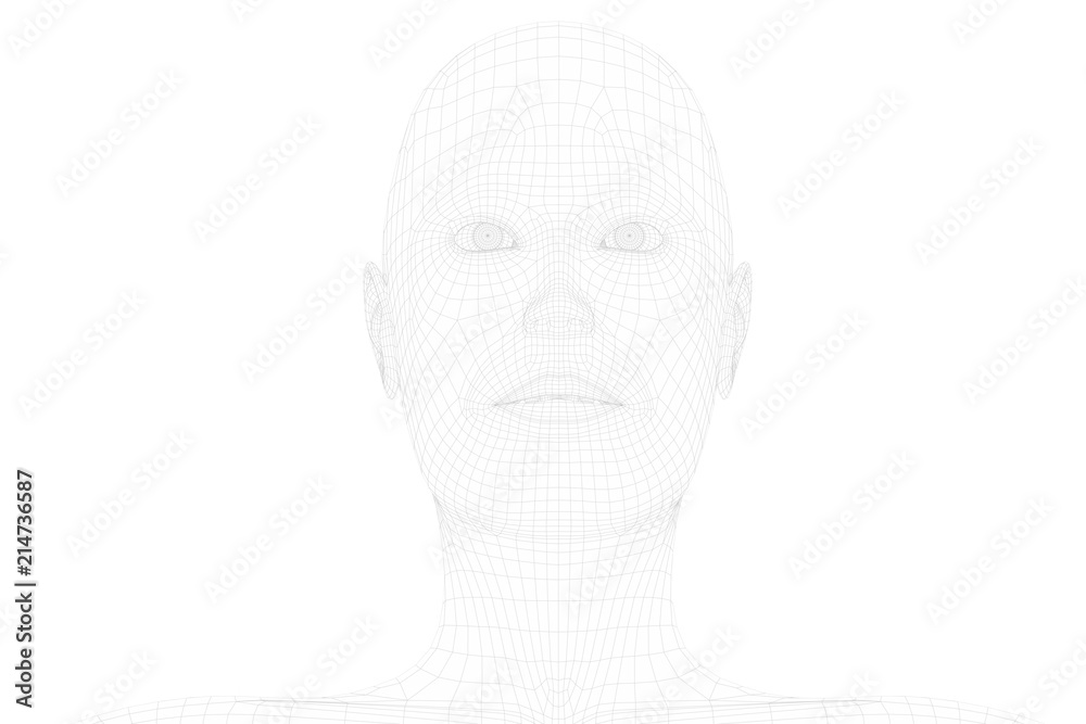 Human head in wireframe with front view on white background. 3D ...