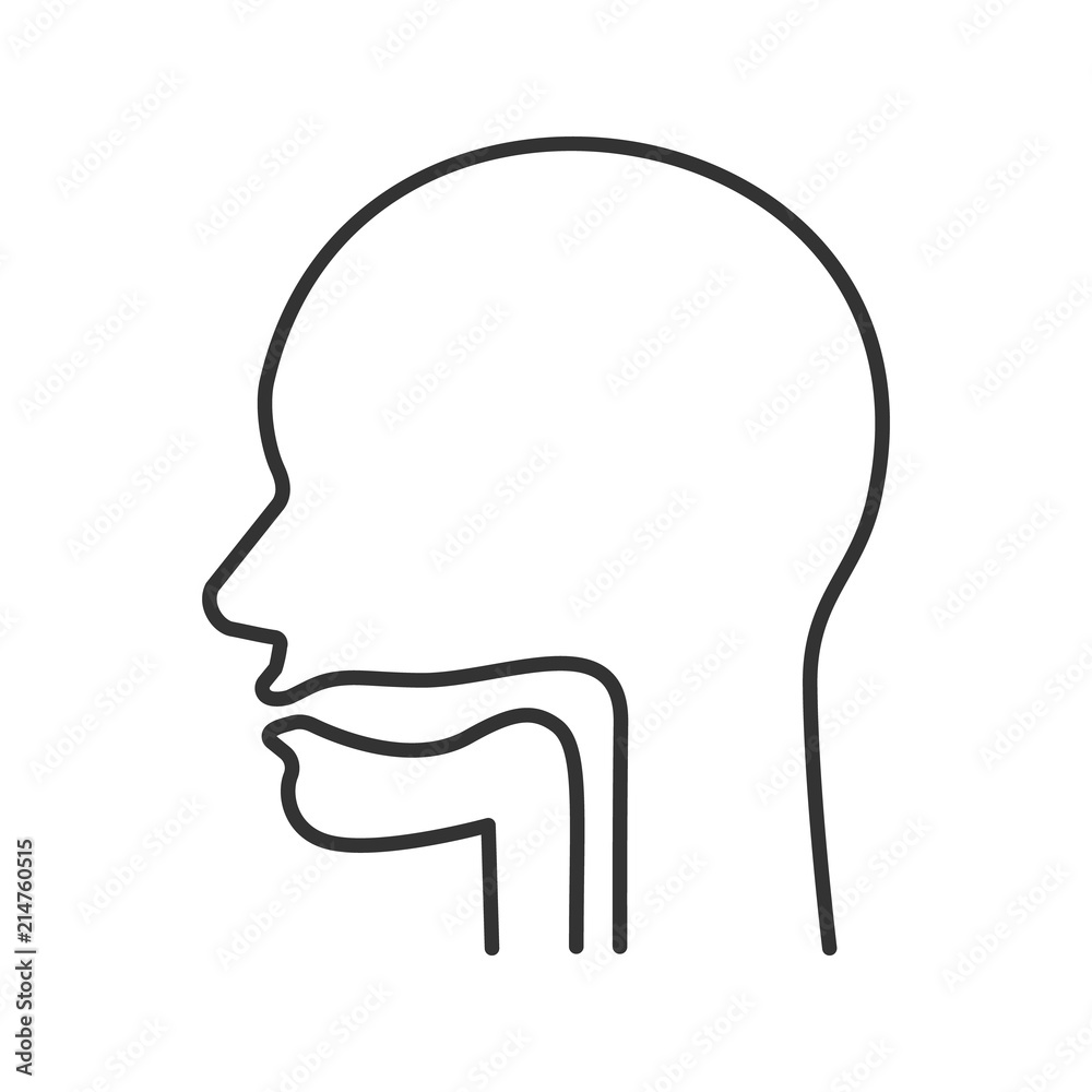 Oral cavity, pharynx and esophagus linear icon Stock Vector | Adobe Stock