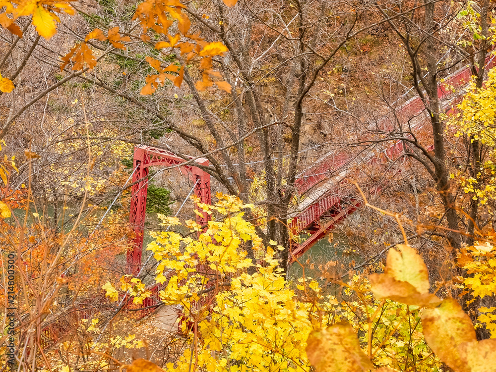 Jozankei Futami Suspension Bridge and Autumn maple forest in Jozankei ...