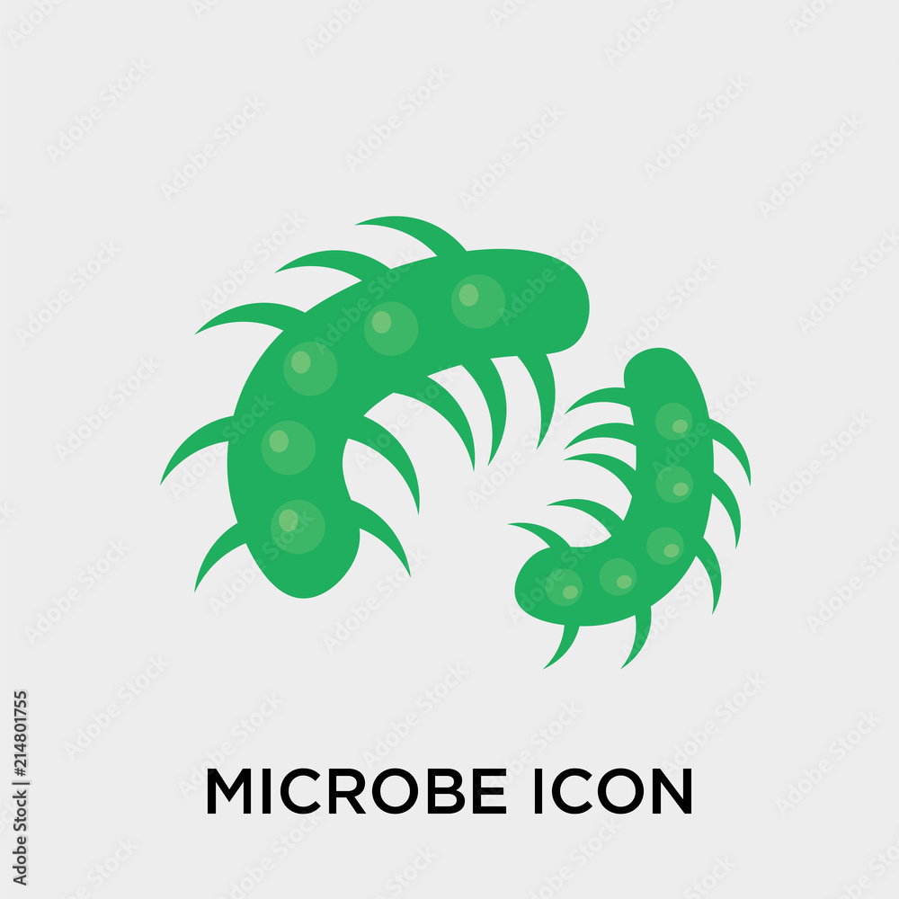 Microbe icon vector sign and symbol isolated on white background ...