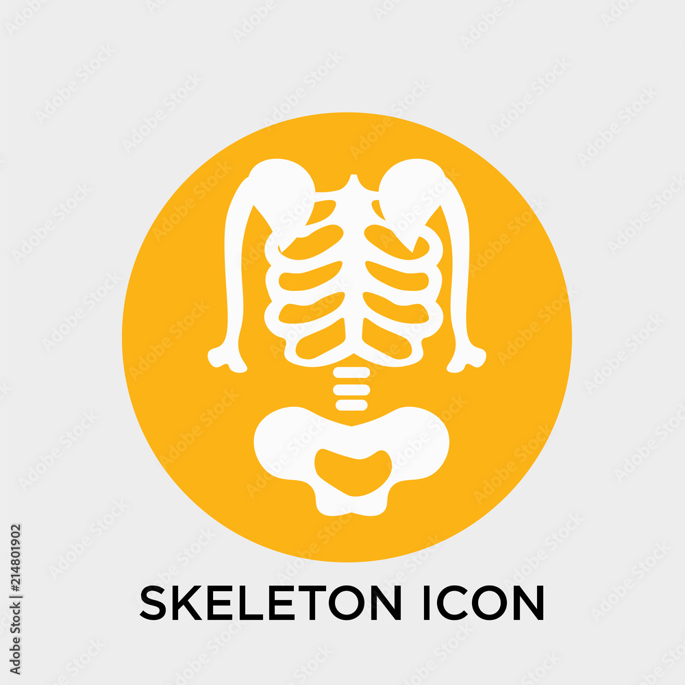 Skeleton icon vector sign and symbol isolated on white background ...