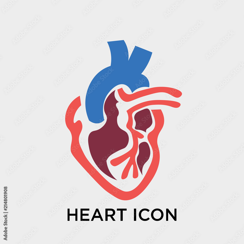 Heart icon vector sign and symbol isolated on white background, Heart ...