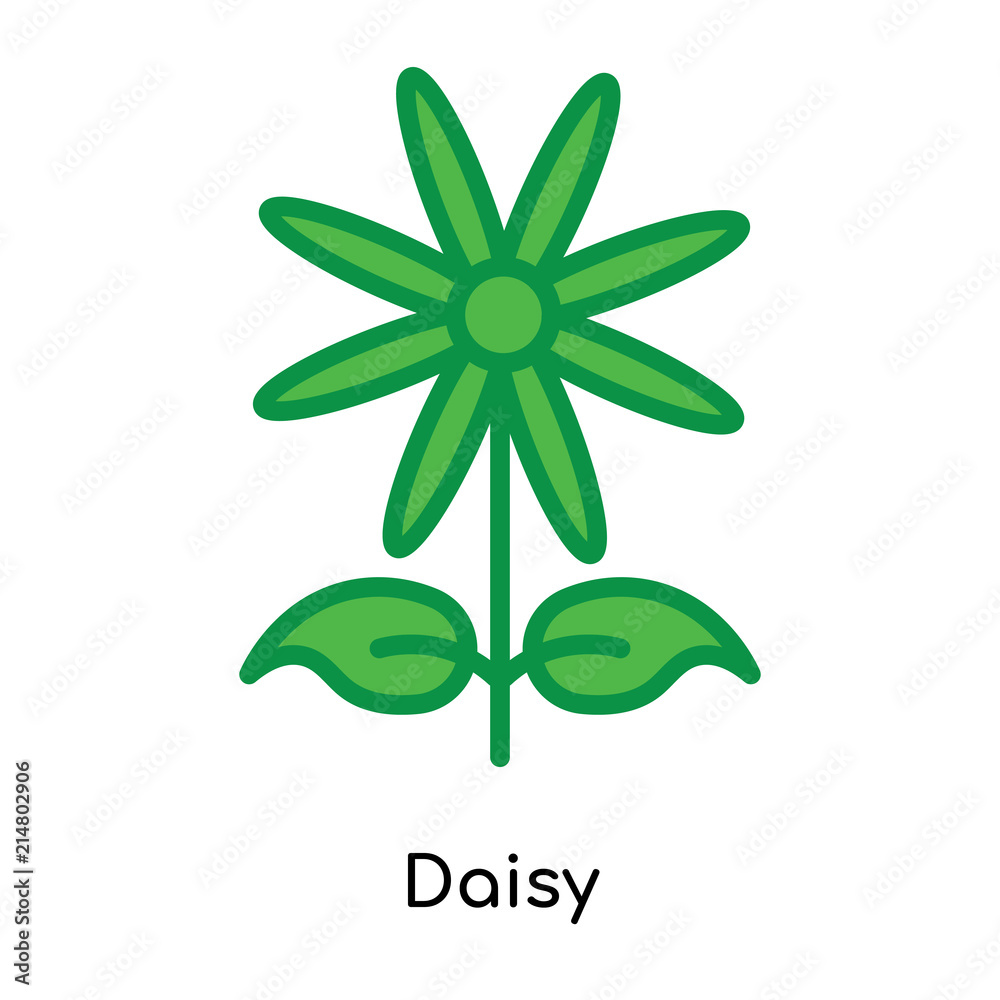 Daisy icon vector sign and symbol isolated on white background, Daisy ...