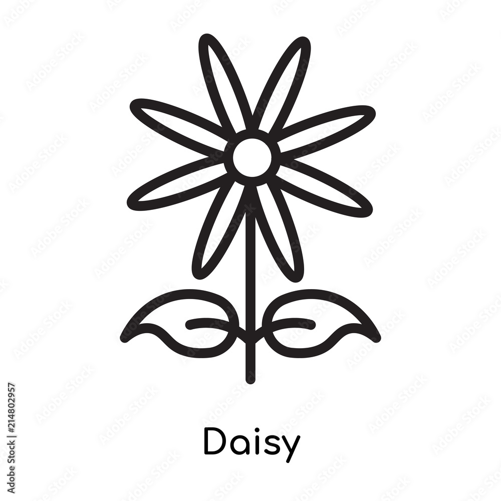 Daisy icon vector sign and symbol isolated on white background, Daisy ...