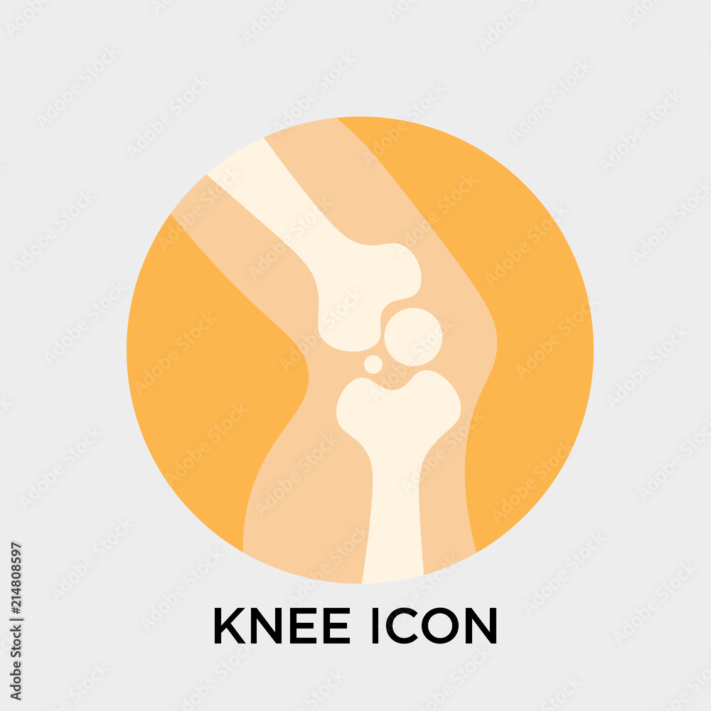 Knee icon vector sign and symbol isolated on white background, Knee ...