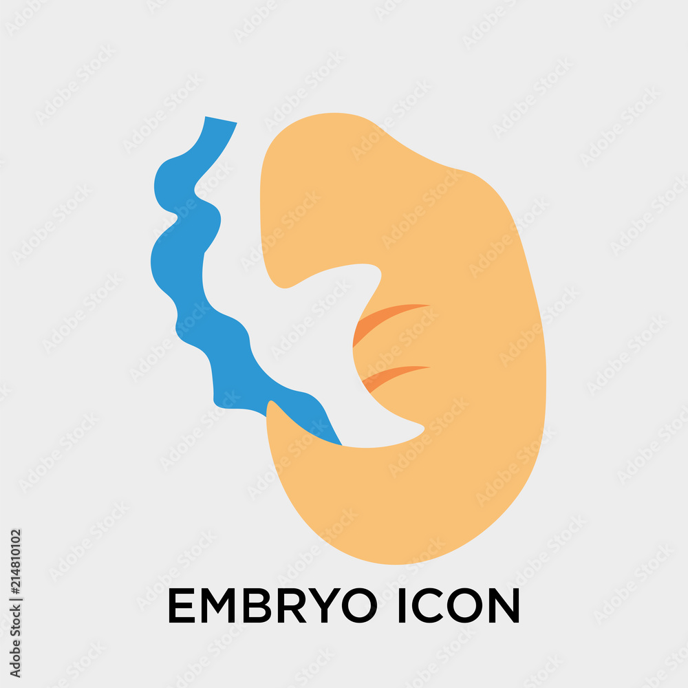 Embryo icon vector sign and symbol isolated on white background, Embryo ...