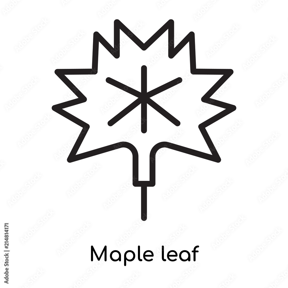 Maple leaf icon vector sign and symbol isolated on white background ...