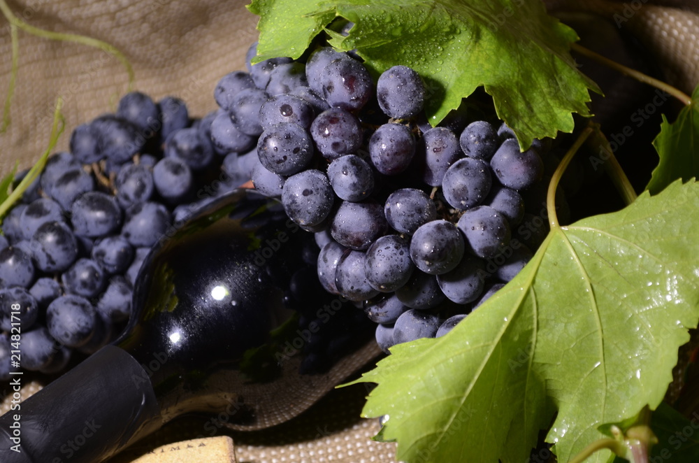 wine, bottle, glass, alcohol, grapes, drink, grape, fruit, food, white ...