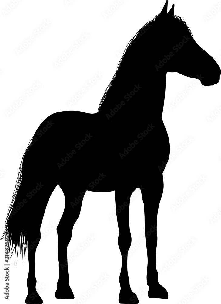 Standing Horse Outline
