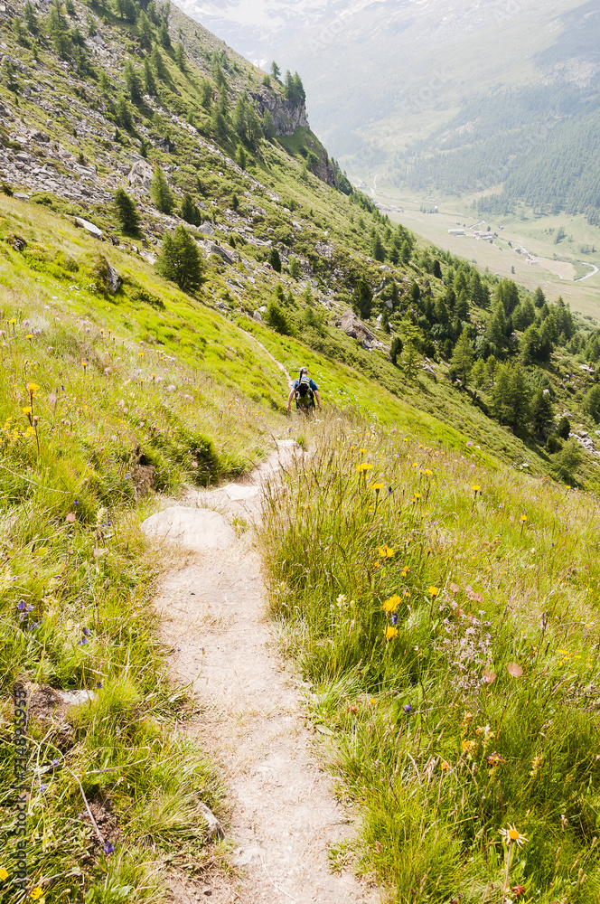 Sils, Furtschellas, Fextal, Val Fex, Wanderweg, Wanderer, Oberengadin ...