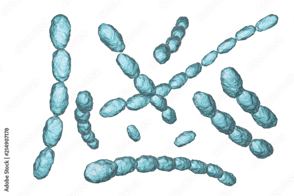 Haemophilus ducreyi bacteria, 3D illustration. Gram-negative ...