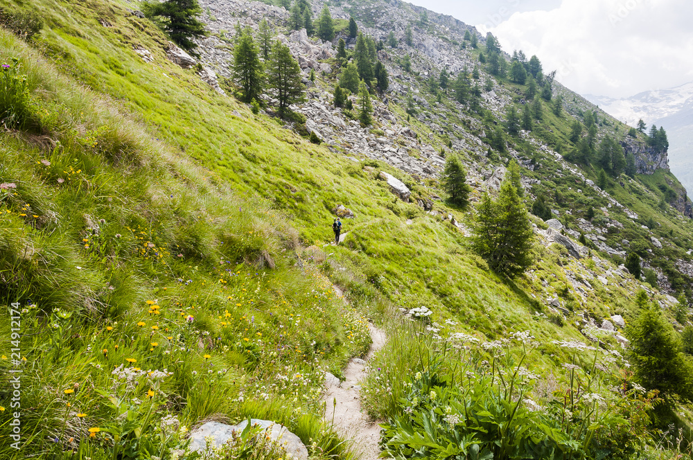 Sils, Furtschellas, Val Fex, Fextal, Wanderweg, Wanderer, Marmorè ...