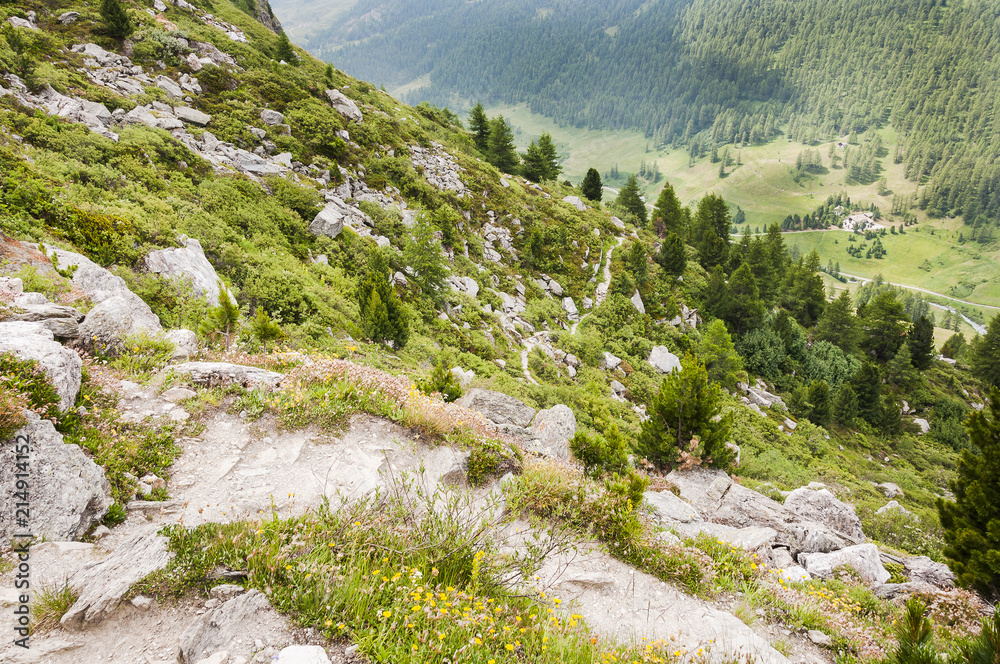Sils, Furtschellas, Val Fex, Fextal, Wanderweg, Wanderer, Marmorè ...