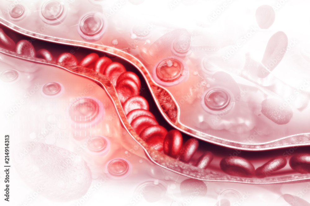 Blood cells in an artery Stock Illustration | Adobe Stock