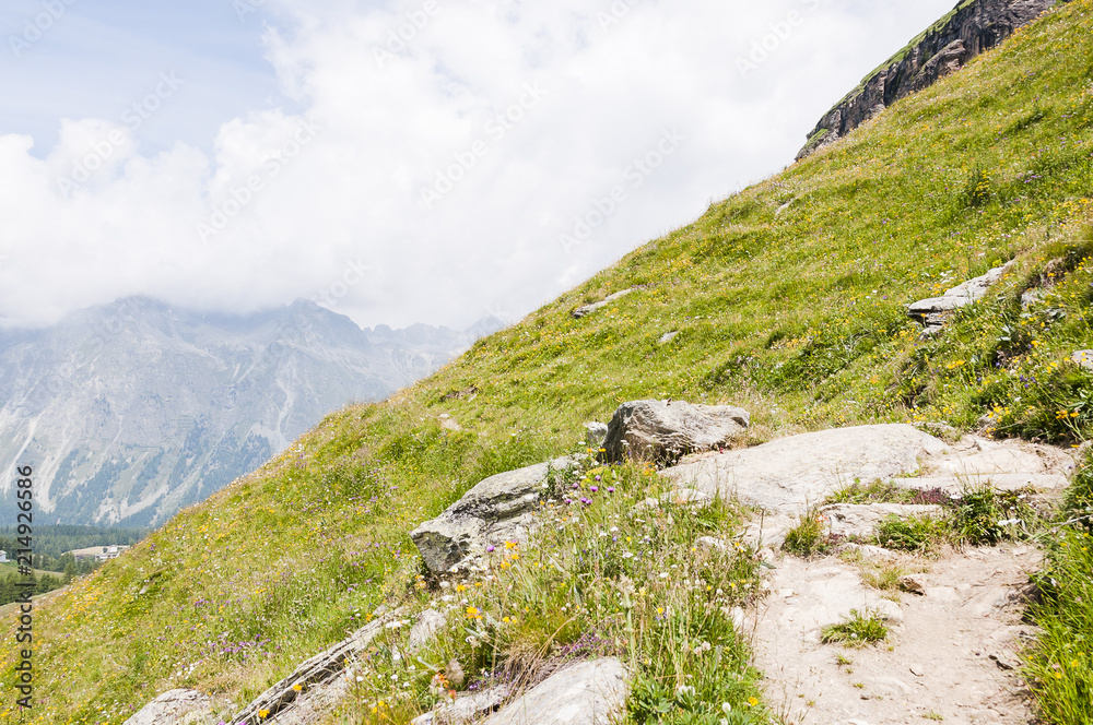 Sils, Segl, Val Fex, Fextal, Wanderweg, Marmorè, Alpen, Oberengadin ...