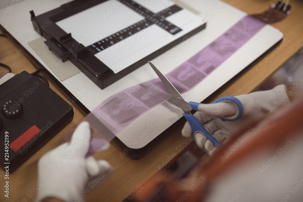 Female photographer cutting filmstrip with photos Stock Photo | Adobe Stock
