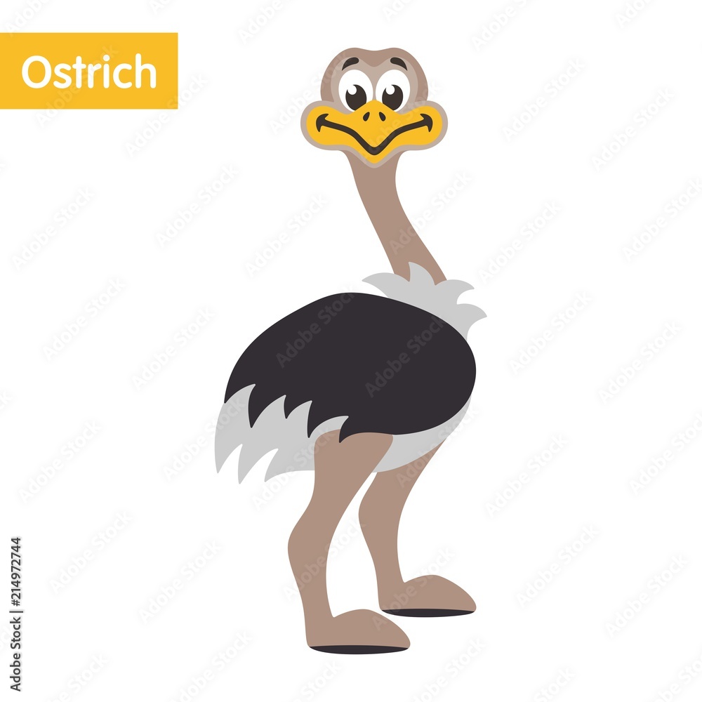 Cartoon ostrich in flat style isolated on white background. Vector ...