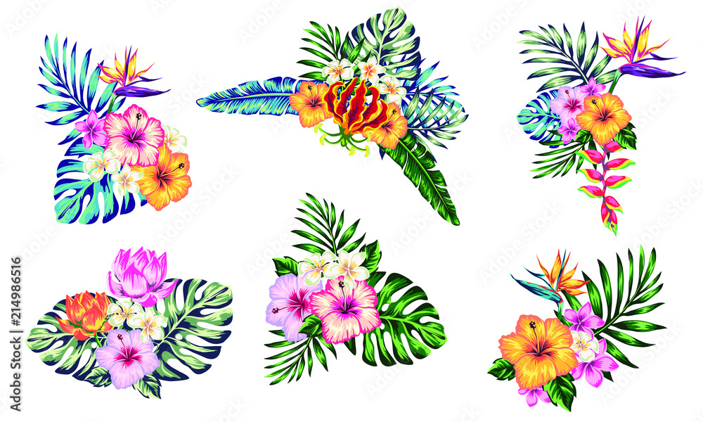 tropical collection with exotic flowers and leaves vector design ...