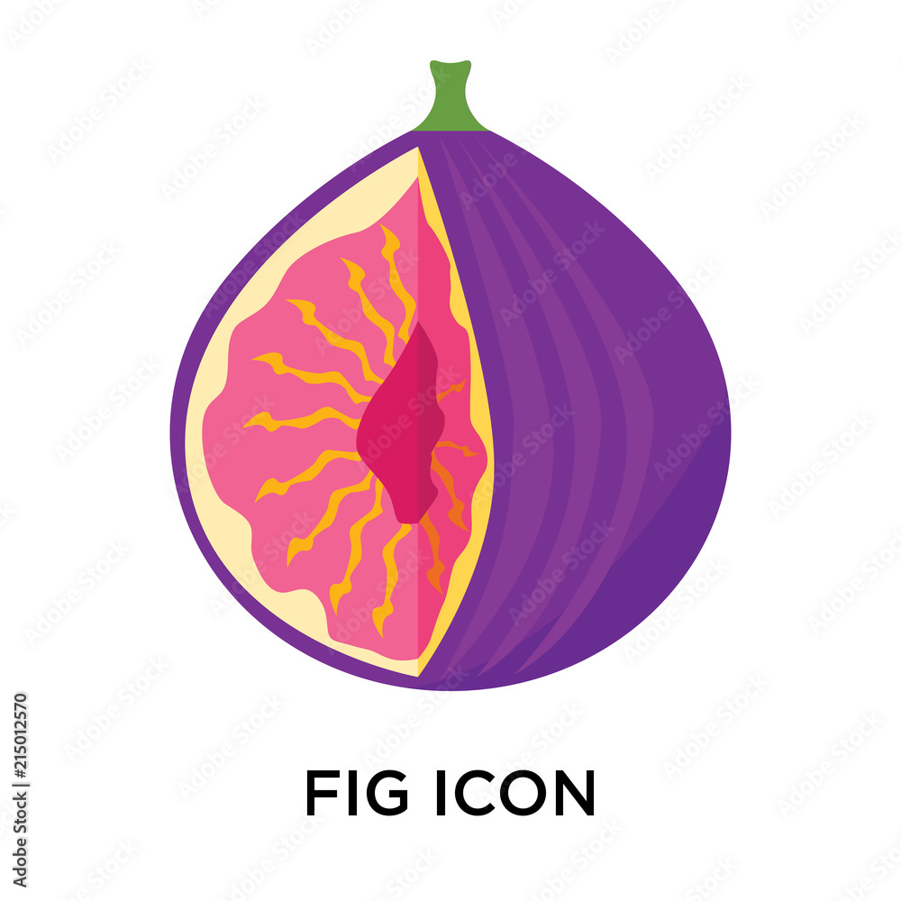 fig icons isolated on white background. Modern and editable fig icon ...