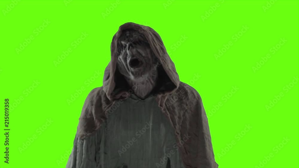 A scary monster with a green screen background. Stock Video | Adobe Stock