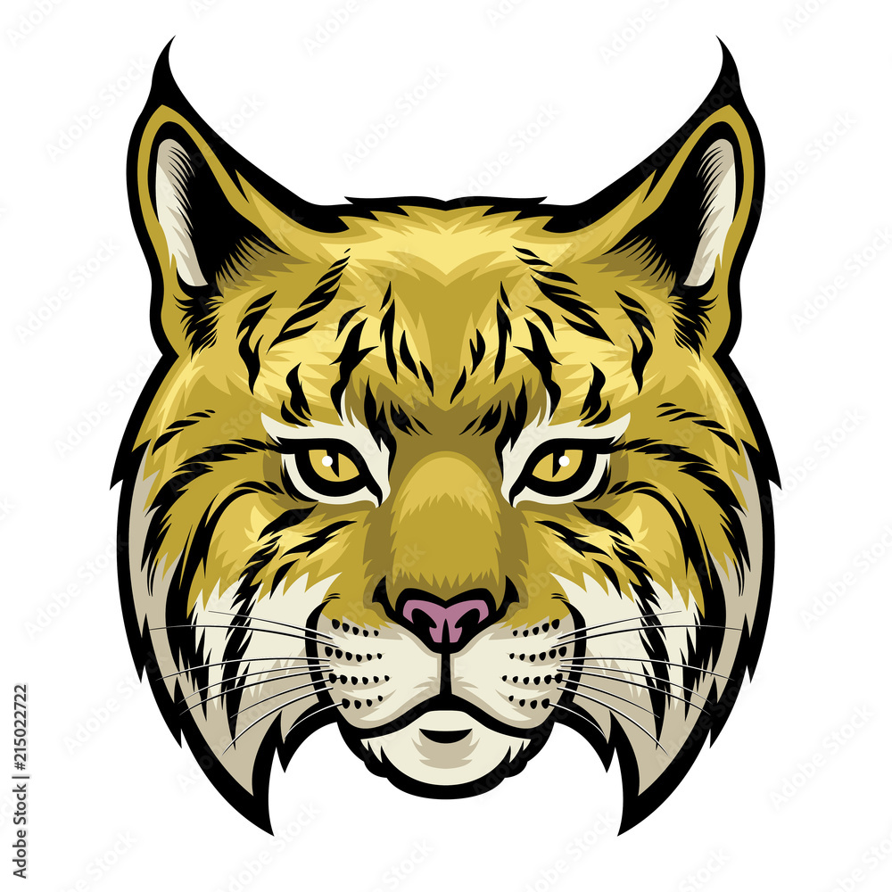 wildcat head Stock Vector | Adobe Stock