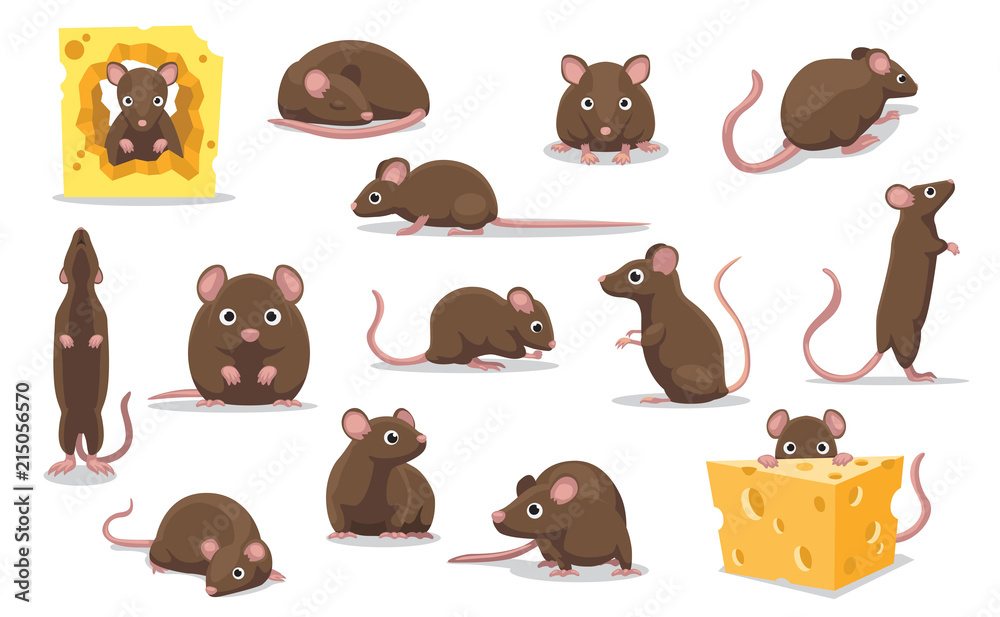 Cute Brown Rat Various Poses Cartoon Vector Illustration Stock Vector ...