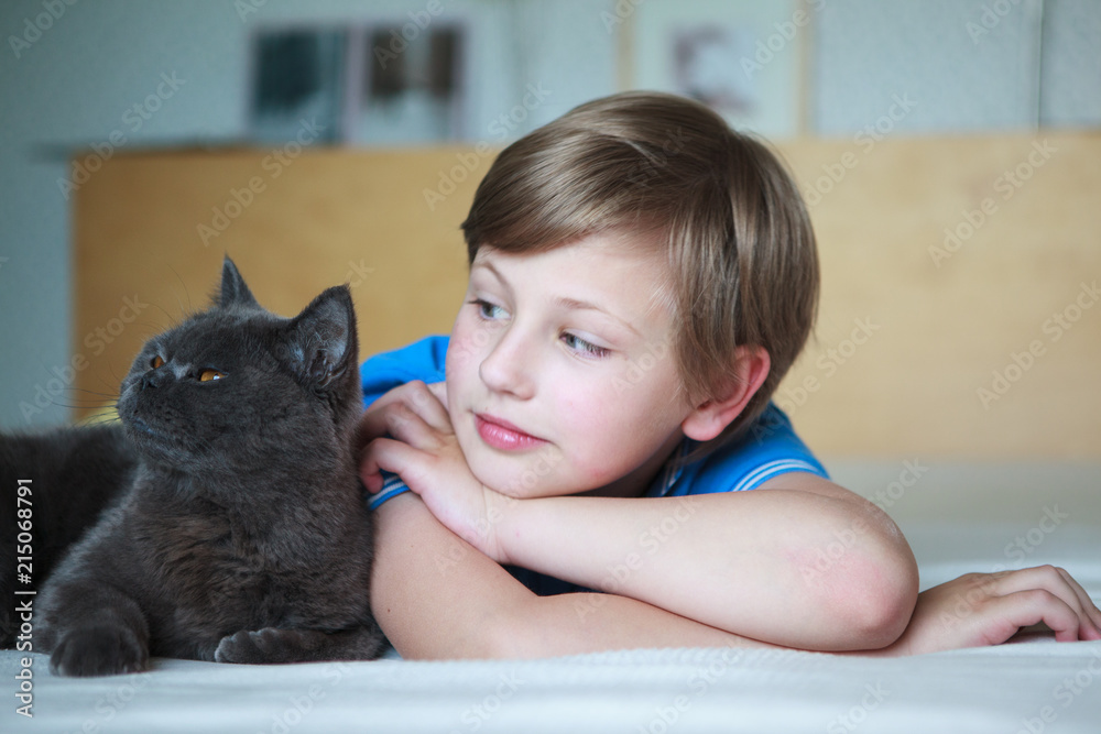Happy cute boy and young british shorthair cat Stock Photo | Adobe Stock