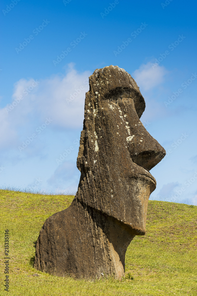 Moai heads at the nursery, Easter Island. Polynesia, Chile Stock Photo ...