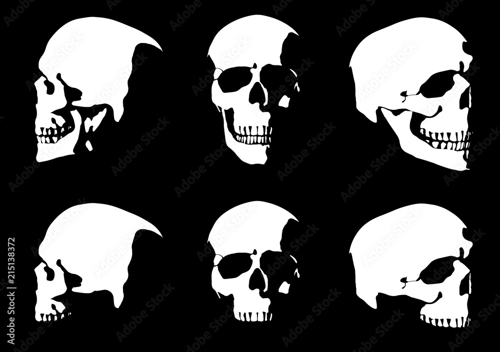 Set of hand drawn skull silhouette isolated on black background. Vector ...