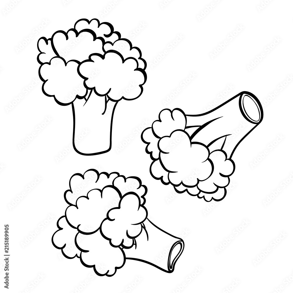 Broccoli Outline