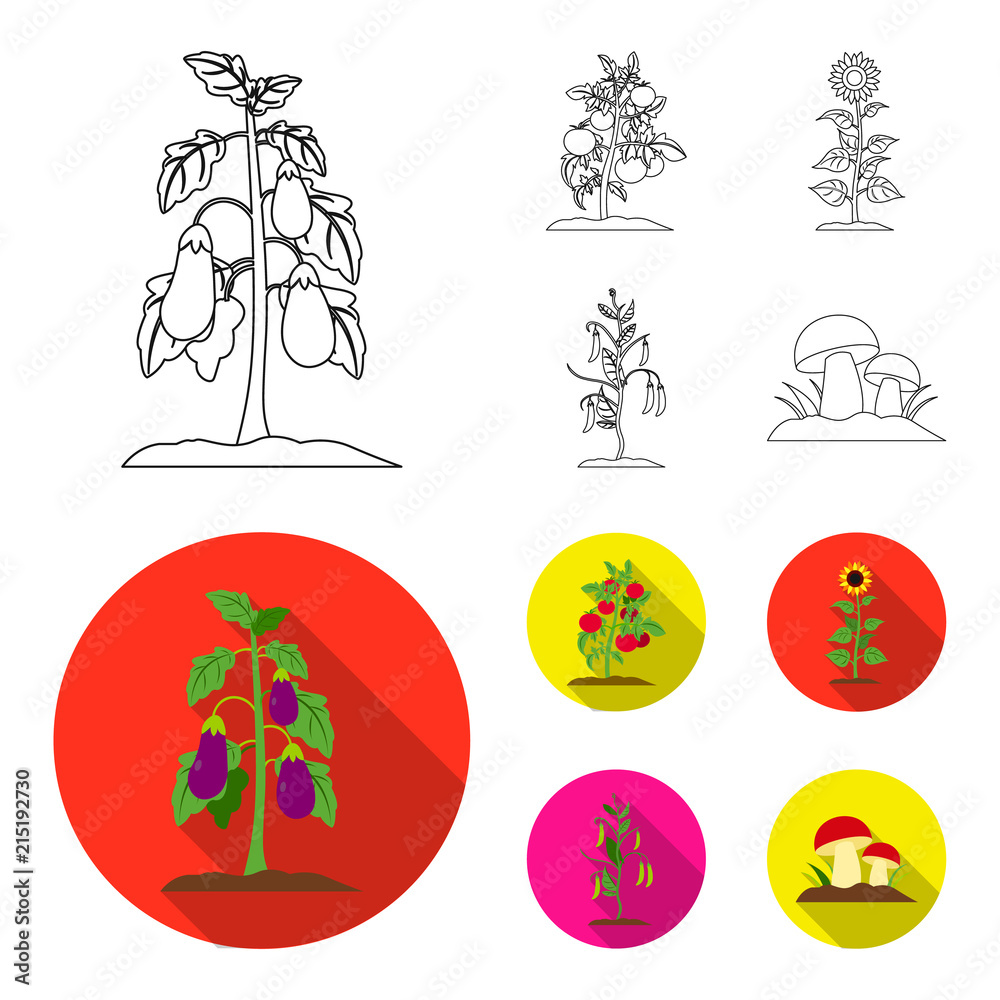 Tomato Plant Icon