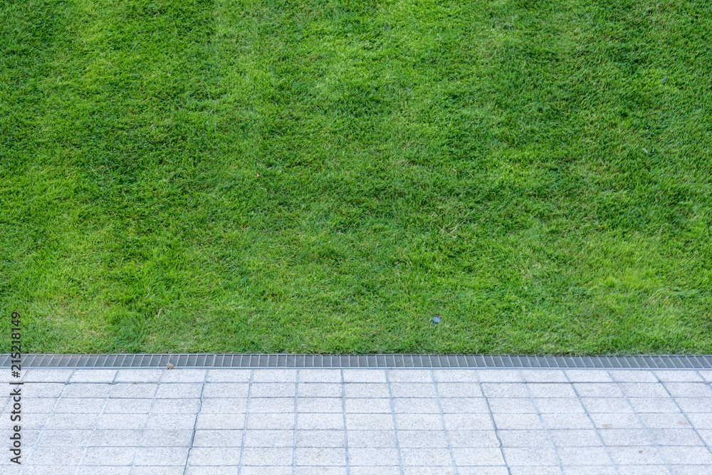 Foto de Gepflegter, saftig grüner Rasen mit Regenablaufrinne und Gehweg ...