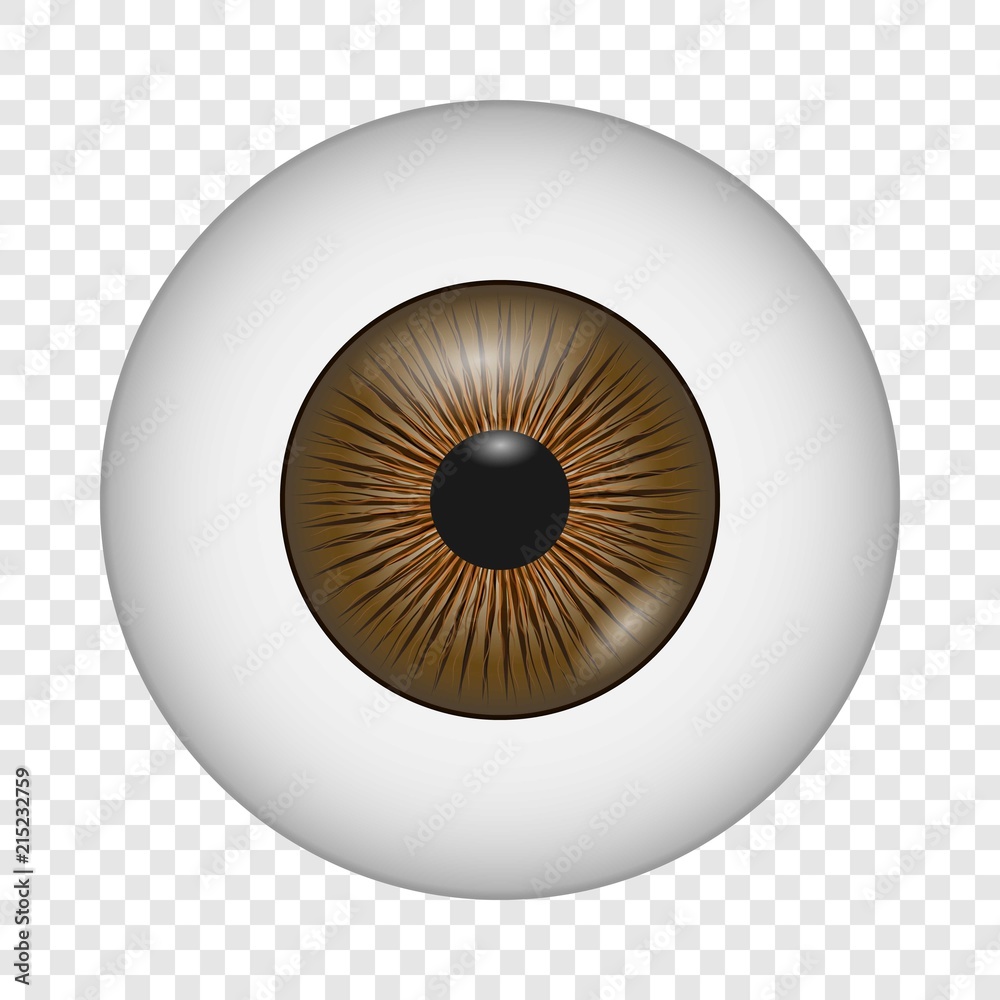 Eye lens icon. Realistic illustration of eye lens vector icon for on ...