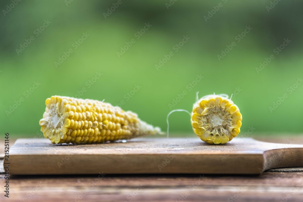 sweet corn. maize corn cob isolated. Stock Photo | Adobe Stock